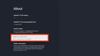 How to Install and Setup Downloader on Android/Google TV